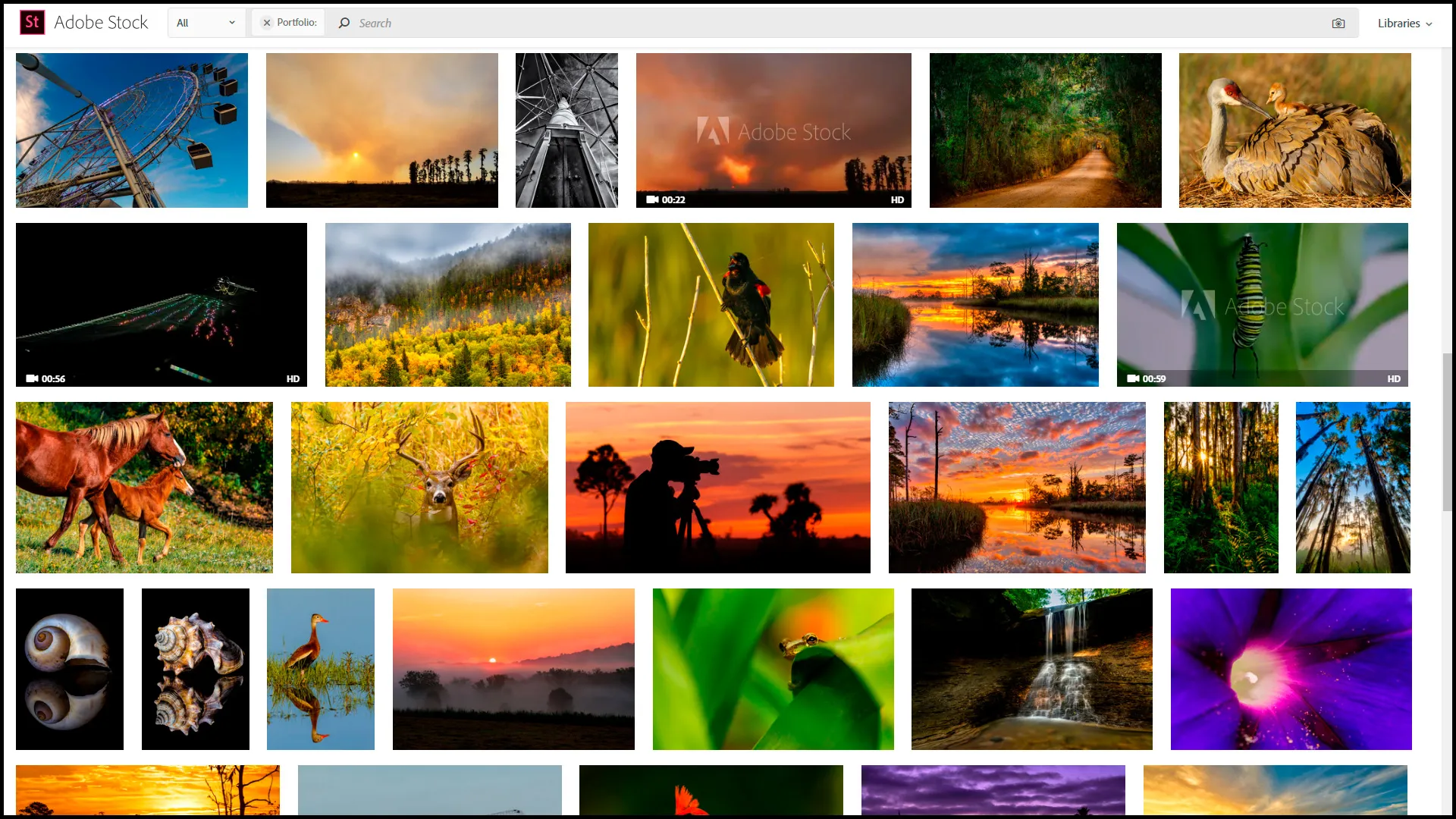 Adobe Stock AI Generated Images Near 50% of Entire Portfolio